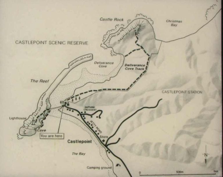 Exploring Castle Point: Hidden Gems of New Zealand – Peaks and Places ...