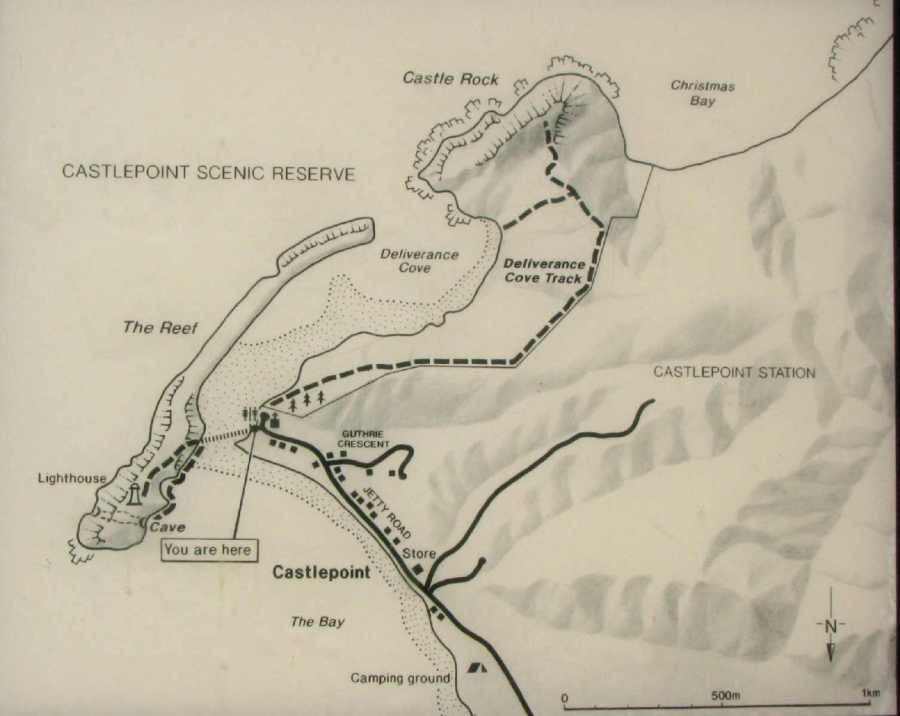 Exploring Castle Point: Hidden Gems of New Zealand – Peaks and Places ...