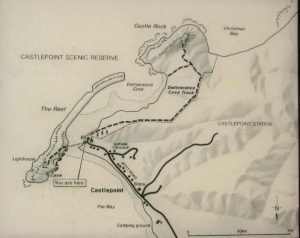 Exploring Castle Point: Hidden Gems of New Zealand – Peaks and Places ...