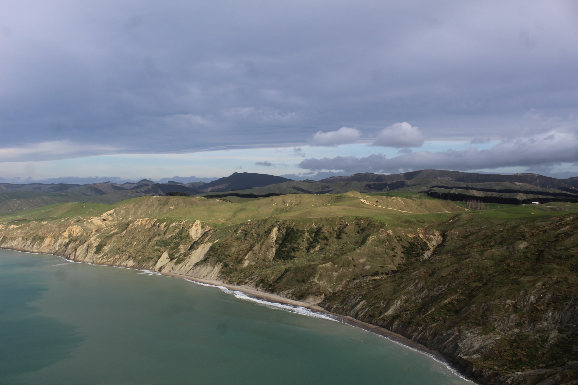 Exploring Castle Point: Hidden Gems of New Zealand – Peaks and Places ...